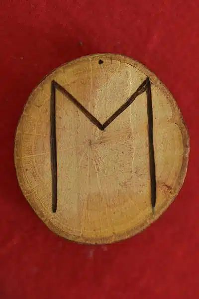 Ehwaz - The Elder Futhark Horse Rune